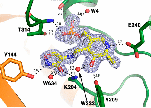 Mechanism-Based Inhibition of the Mycobacterium tuberculosis Branched ...