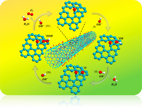 Unraveling Oxygen Evolution Reaction on Carbon-Based Electrocatalysts ...
