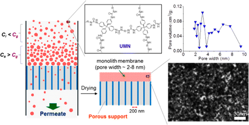 One-Pot Preparation of Monolithic Molecular Separation Membranes with ...