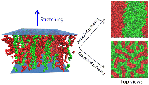 Modeling Stretching-Induced Immiscibility in Nonmonodisperse Polymer ...