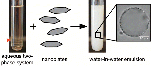 Water-in-Water Emulsions Stabilized by Nanoplates,ACS Macro Letters - X-MOL