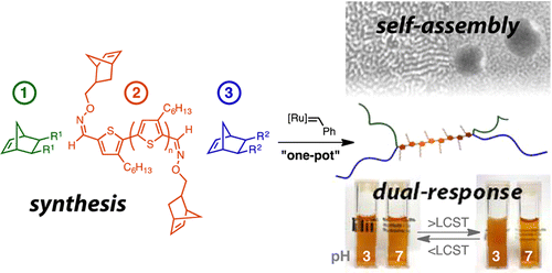 Synthesis of Miktoarm Branched Conjugated Copolymers by ROMPing In and ...