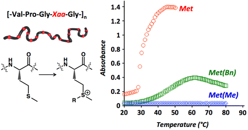 Quantitative Side-Chain Modifications of Methionine-Containing Elastin ...