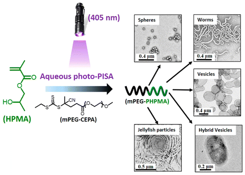 Photo-PISA: Shedding Light on Polymerization-Induced Self-Assembly,ACS ...