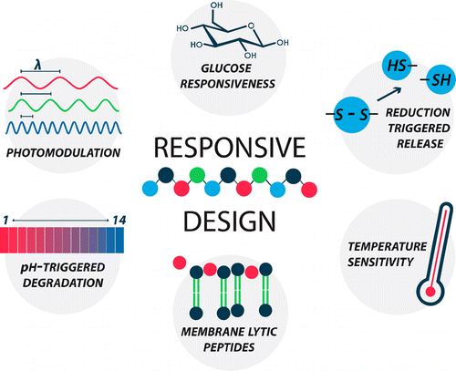Stimuli-Responsive Polymers for Biological Detection and Delivery,ACS ...