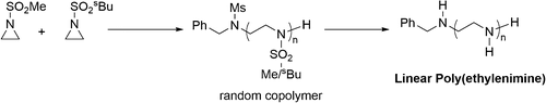 Living Anionic Copolymerization of 1-(Alkylsulfonyl)aziridines to Form ...