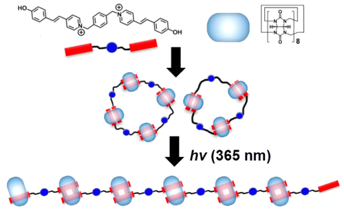 Controllable Supramolecular Polymerization Promoted by Host-Enhanced ...