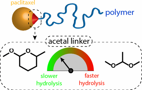 Micellar Paclitaxel-Initiated RAFT Polymer Conjugates with Acid ...