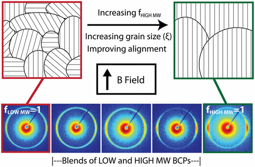 Implications of Grain Size Variation in Magnetic Field Alignment of ...