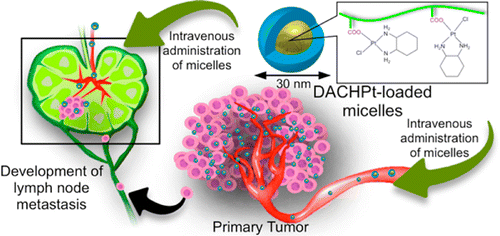 Systemic Targeting of Lymph Node Metastasis through the Blood Vascular ...