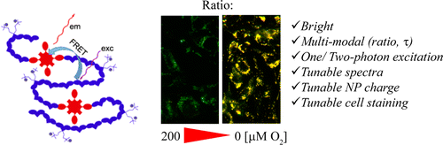 Versatile Conjugated Polymer Nanoparticles for High-Resolution O2 ...