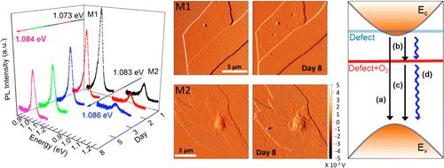 缺陷激活分子相互作用在MoTe 2 激发动力学中的环境变化,ACS Nano - X-MOL
