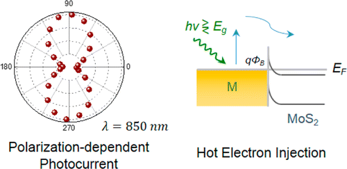 Plasmonic Hot Electron Induced Photocurrent Response at MoS2–Metal ...