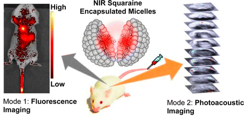 Near-Infrared Squaraine Dye Encapsulated Micelles for in Vivo ...