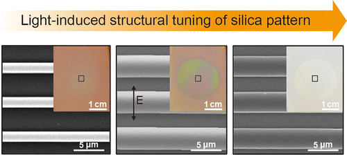 Light-Induced Surface Patterning of Silica,ACS Nano - X-MOL