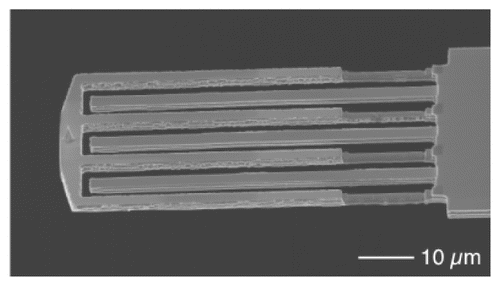 Fast Stiffness Mapping of Cells Using High-Bandwidth Atomic Force ...