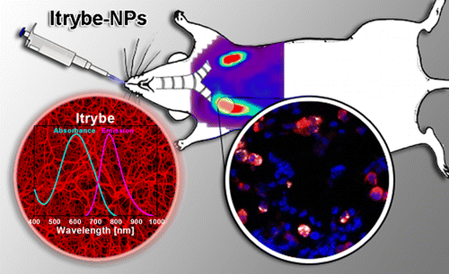 Tracking of Inhaled Near-Infrared Fluorescent Nanoparticles in Lungs of ...