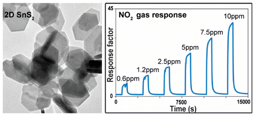 Physisorption-Based Charge Transfer in Two-Dimensional SnS2 for Selective and Reversible NO2 Gas ...