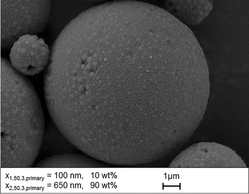 Hierarchical Structure Formation of Nanoparticulate Spray-Dried ...