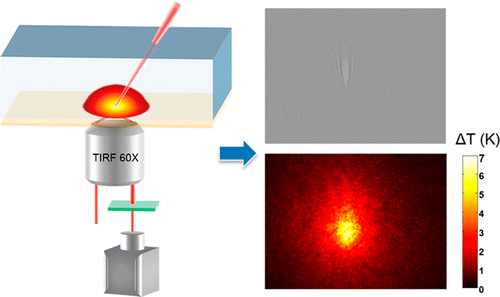 Imaging Local Heating and Thermal Diffusion of Nanomaterials with ...