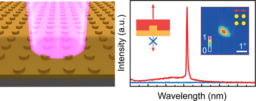 Unidirectional Lasing from Template-Stripped Two-Dimensional Plasmonic ...