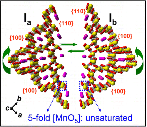 Atomistic Insights into the Oriented Attachment of Tunnel-Based Oxide Nanostructures,ACS Nano ...