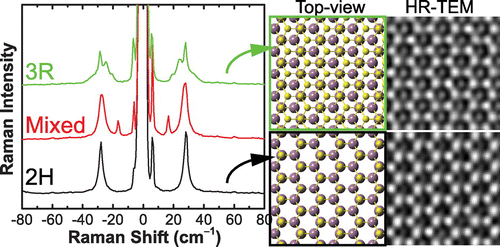 二硫化钼多型性的拉曼特征,ACS Nano - X-MOL