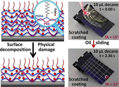 Substrate-Independent, Transparent Oil-Repellent Coatings with Self ...