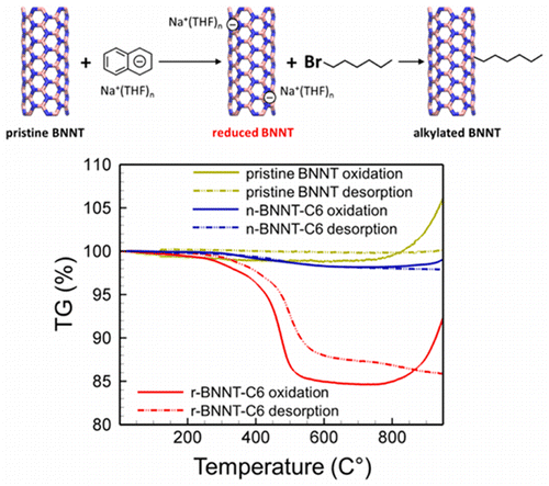 Covalent Functionalization of Boron Nitride Nanotubes via Reduction ...