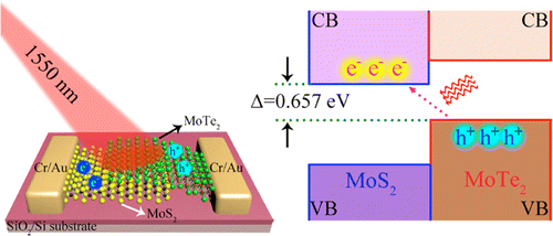 Interlayer Transition and Infrared Photodetection in Atomically Thin Type-II MoTe2/MoS2 van der ...