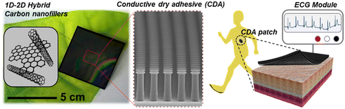 Bioinspired, Highly Stretchable, and Conductive Dry Adhesives Based on ...