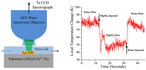Effect of Ions and Ionic Strength on Surface Plasmon Absorption of Single Gold Nanowires,ACS ...