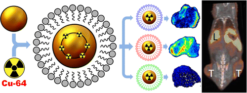 使用嵌入式Copper-64的不同表面涂层金纳米粒子的生物分布的小鼠正电子发射断层扫描研究,ACS Nano - X-MOL