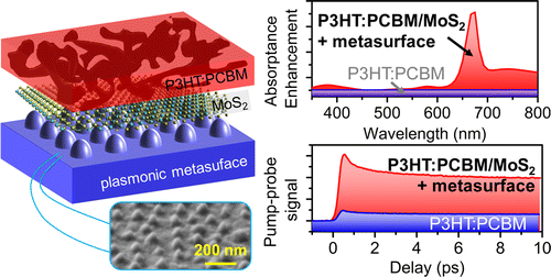 Ultrafast Charge Transfer and Enhanced Absorption in MoS2–Organic van der Waals Heterojunctions ...