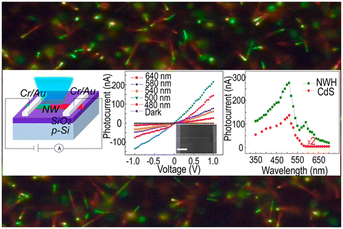 On-Nanowire Axial Heterojunction Design for High-Performance ...