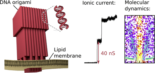 Large-Conductance Transmembrane Porin Made from DNA Origami,ACS Nano ...