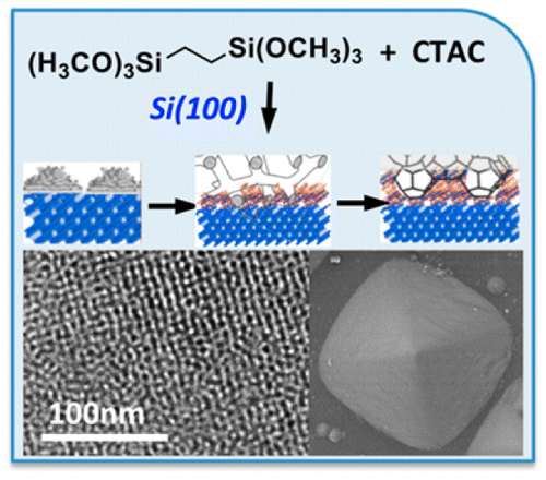 双重外延作为高阶三维中间相晶体模板化生长的范例,ACS Nano - X-MOL