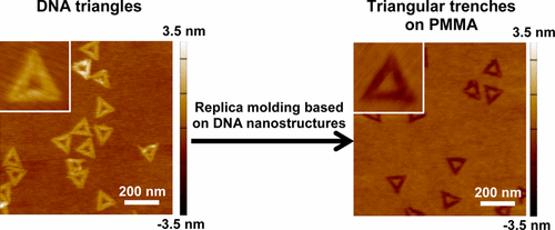 DNA Nanostructures-Mediated Molecular Imprinting Lithography,ACS Nano ...