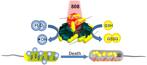 具有过氧化物酶催化和近红外光热活性的功能化纳米MoS 2 ，用于安全和协同伤口抗菌应用。,ACS Nano - X-MOL