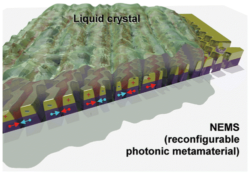 Controlling Stiction in Nano-Electro-Mechanical Systems Using Liquid ...