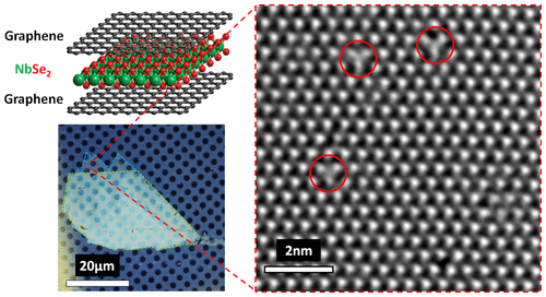 Atomic Defects and Doping of Monolayer NbSe2,ACS Nano - X-MOL