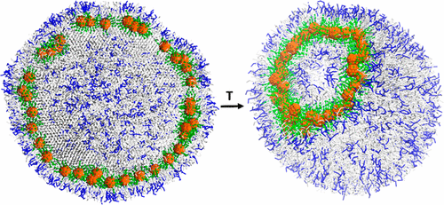 Lipid Nanodisc-Templated Self-Assembly of Gold Nanoparticles into ...