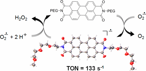 Perylene Diimide as a Precise Graphene-like Superoxide Dismutase ...