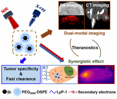 Ultrasmall Semimetal Nanoparticles of Bismuth for Dual-Modal Computed ...