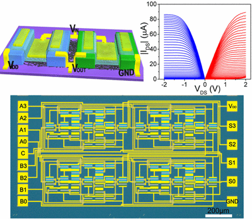 High-Performance Complementary Transistors and Medium-Scale Integrated Circuits Based on Carbon ...