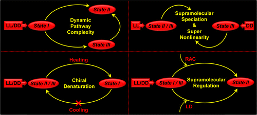 Emergent Behaviors in Kinetically Controlled Dynamic Self-Assembly of ...