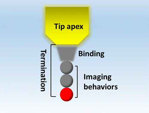 Exploring Molecules beyond CO as Tip Functionalizations in High ...