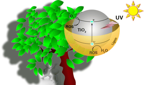 Improving the Sunscreen Properties of TiO2 through an Understanding of ...