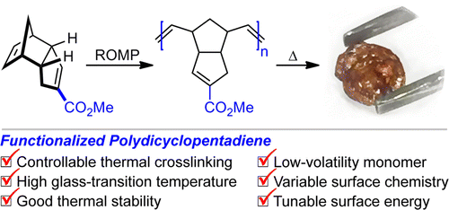 Thermally Crosslinked Functionalized Polydicyclopentadiene with a High ...