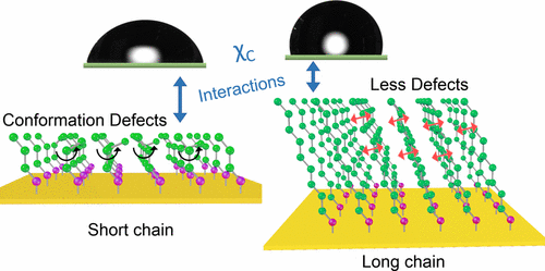 Quantifying Gauche Defects and Phase Evolution in Self-Assembled ...